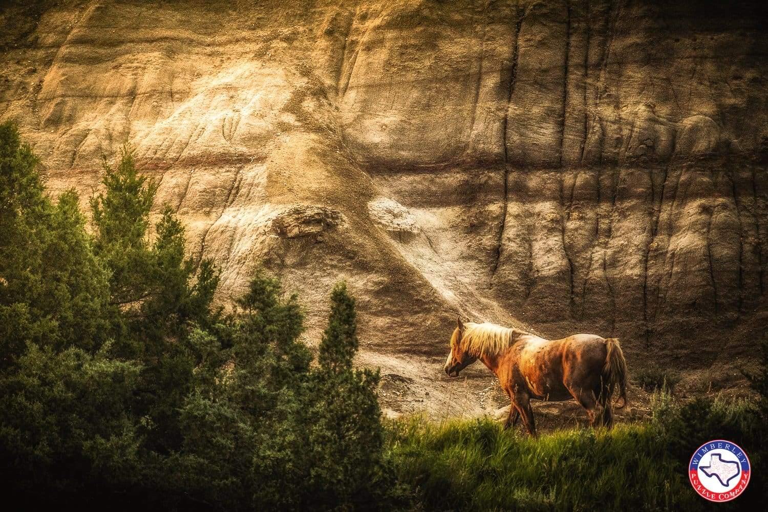 Wooden North Dakota Puzzles | 250, 500, 1000 Piece Puzzles | Wimberley ...